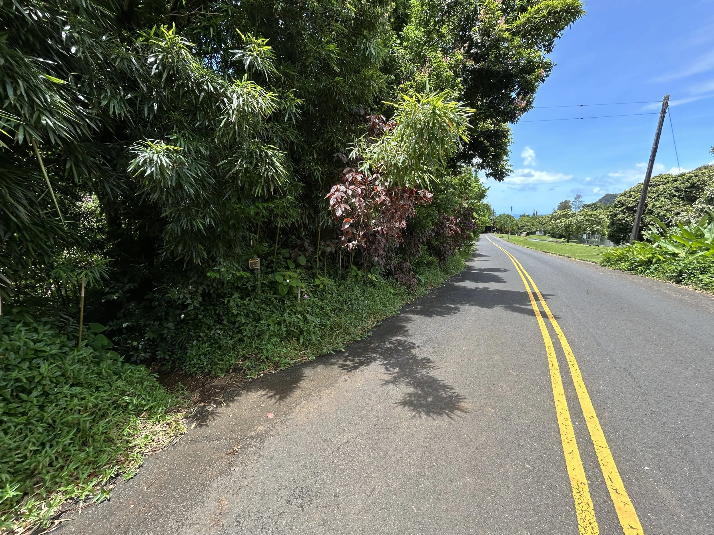Hiking the Luakaha Falls Trail on Oʻahu, Hawaiʻi — noahawaii