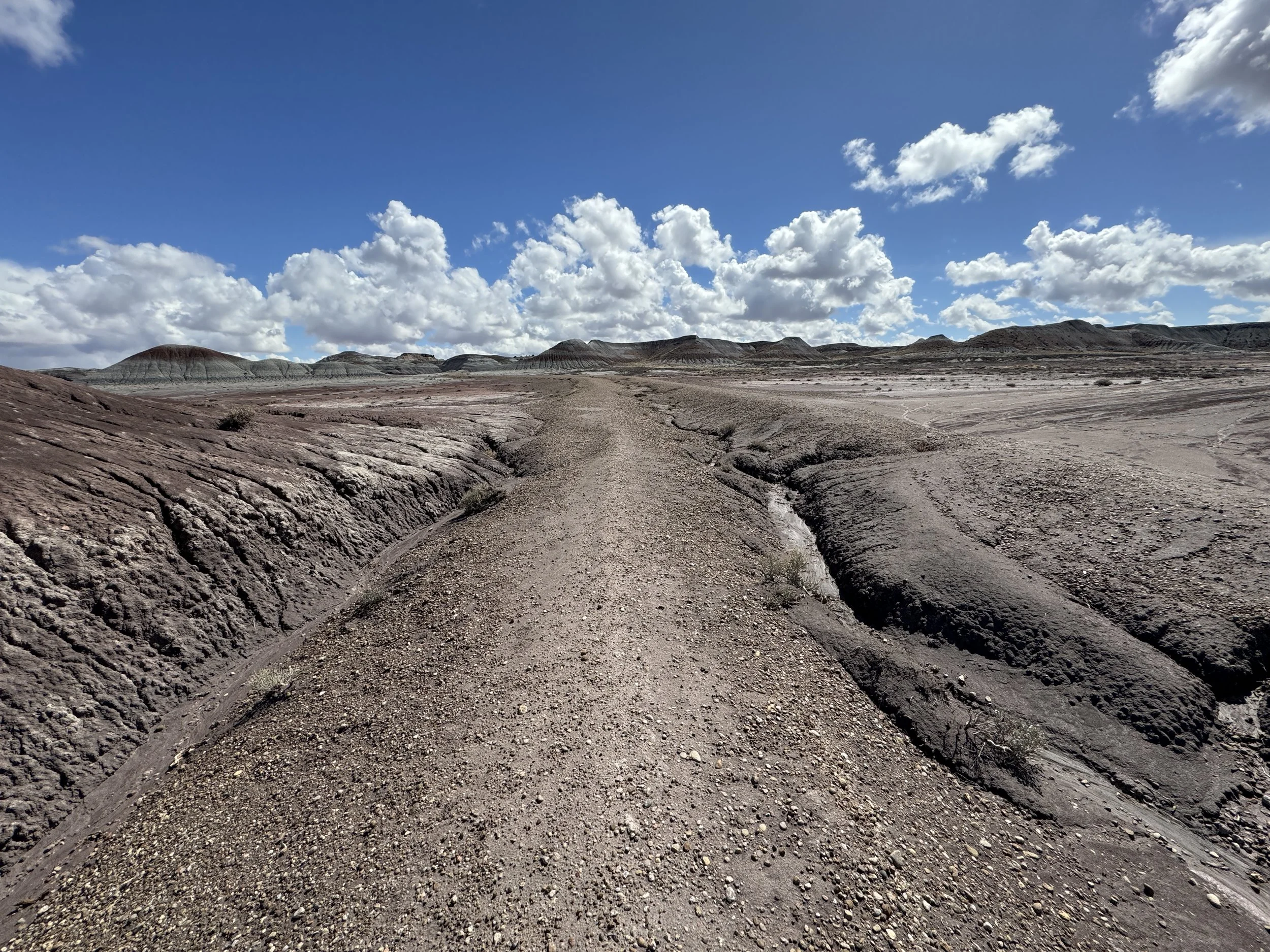 Hiking the Historic Blue Forest Trail in Petrified Forest National Park ...