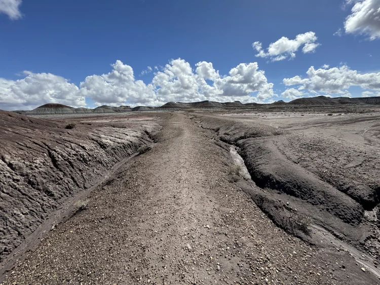 Hiking the Historic Blue Forest Trail in Petrified Forest National Park ...