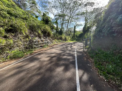Hiking the Koʻolau Summit Trail (KST) North to South on Oʻahu, Hawaiʻi ...