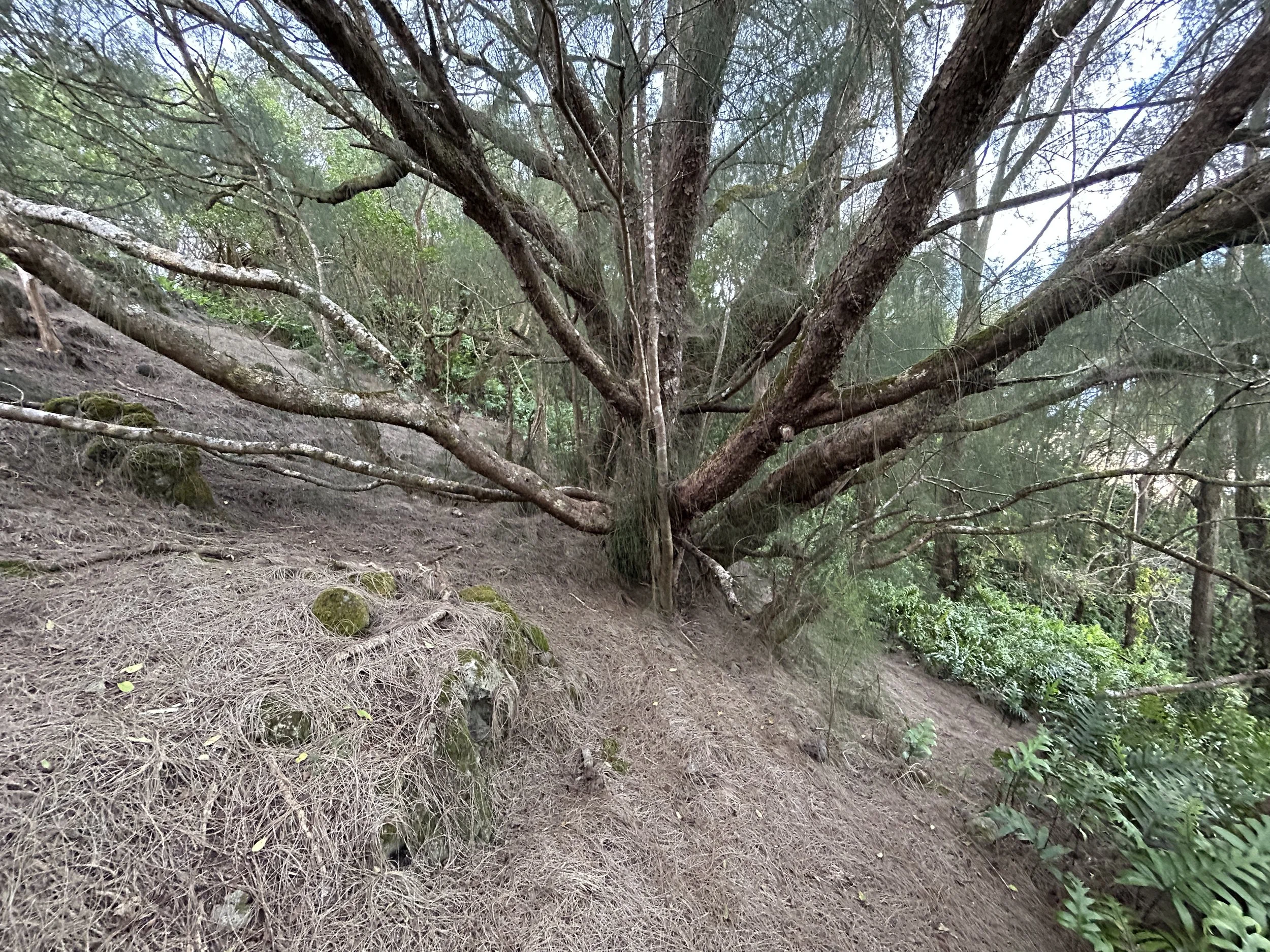 Hiking the Pyramid Rock Loop Trail on Oʻahu — noahawaii