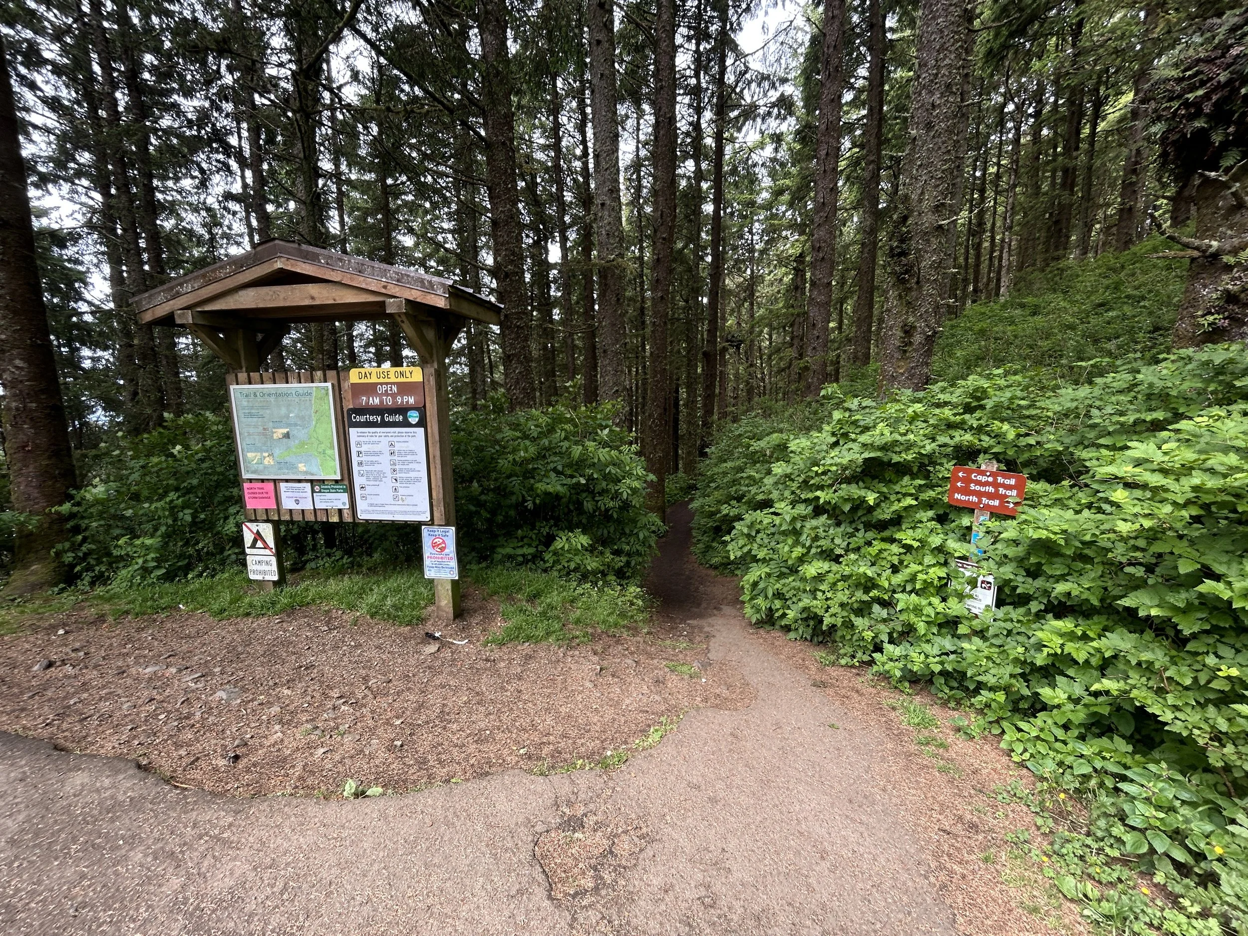 Hiking the Cape Lookout Trail on the Oregon Coast — noahawaii