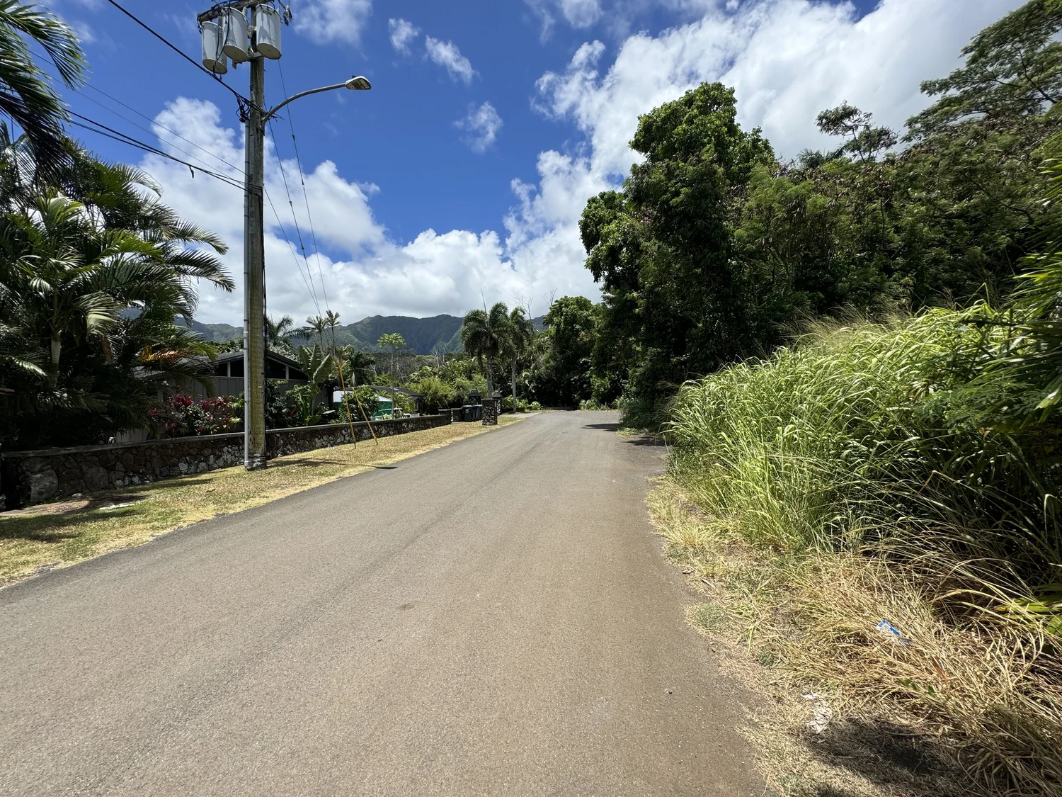 Hiking the Pride Rock Trail: Southeast Ridge of Puʻu ʻŌhulehule on ...