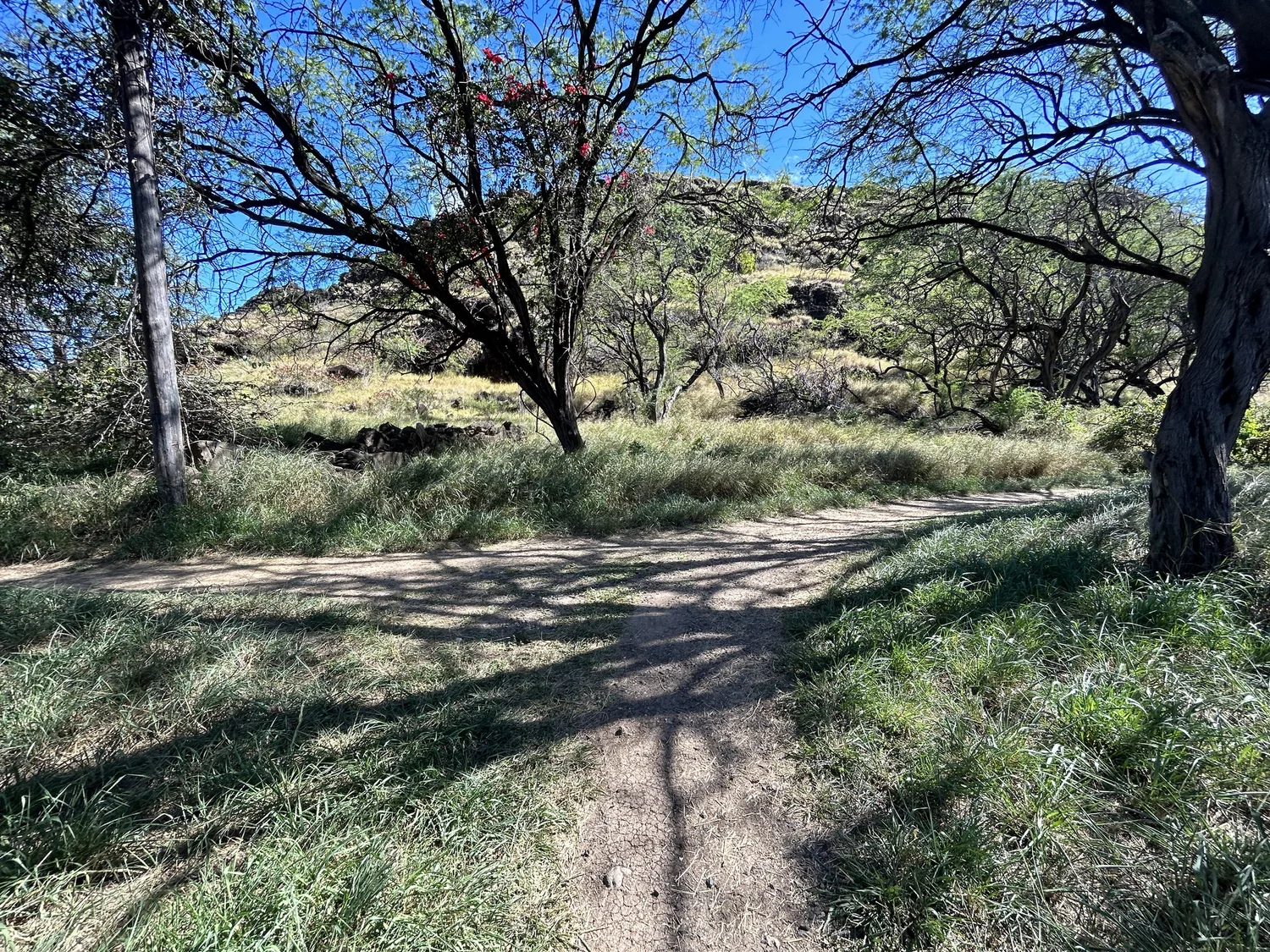 Hiking the Mauna Lahilahi Trail (Turtle Rock) on Oʻahu, Hawaiʻi — noahawaii