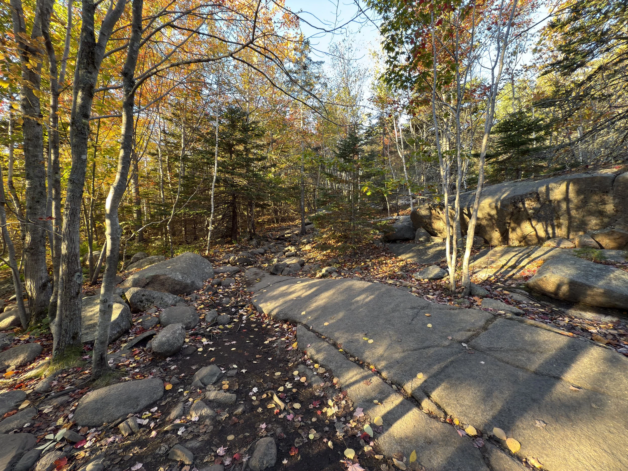 Hiking the Beehive Trail in Acadia National Park — noahawaii