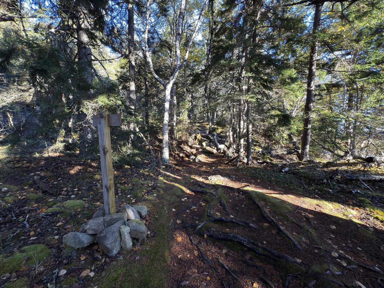 Hiking the Anvil-Schoodic Head-Alder Loop Trail in Acadia National Park ...