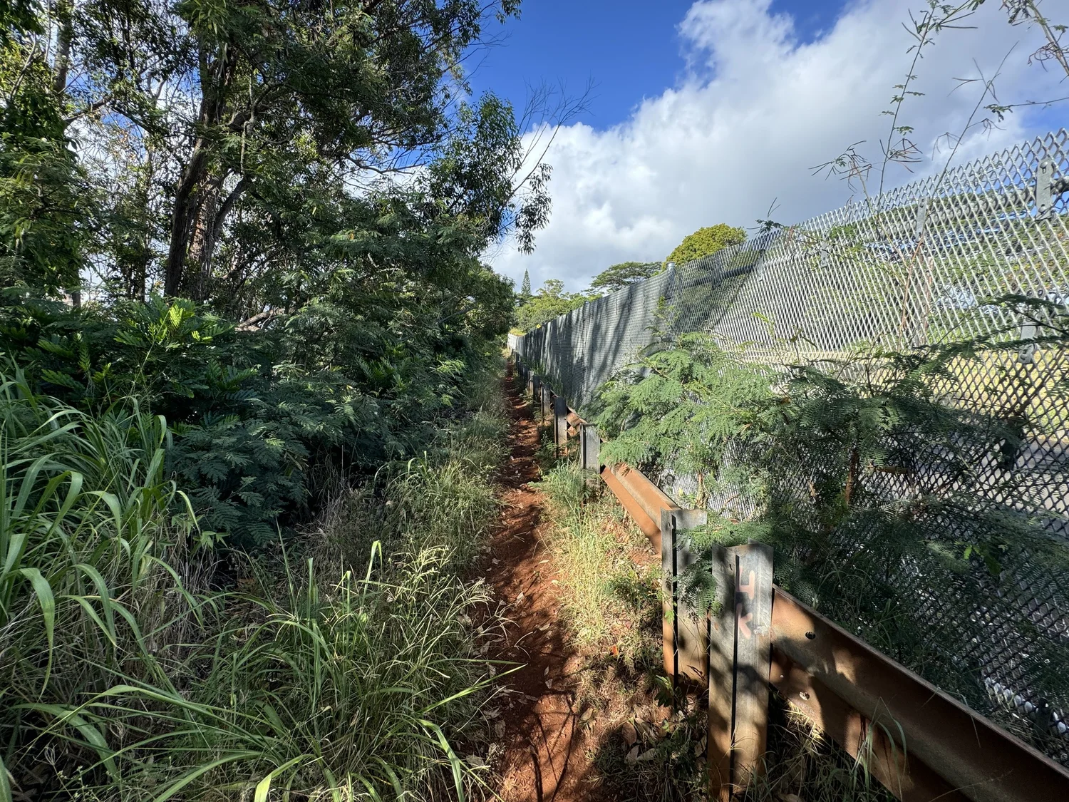 Hiking the Waimano Ridge Trail on Oʻahu, Hawaiʻi — noahawaii