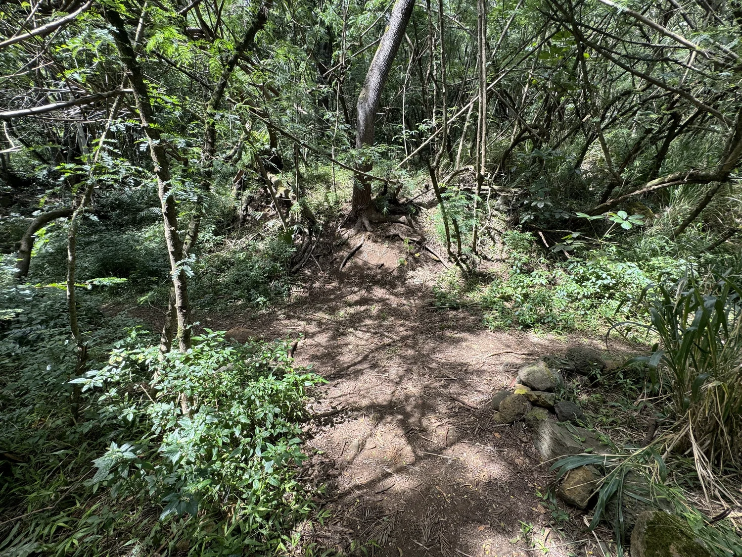 Hiking the Pyramid Rock Loop Trail on Oʻahu, Hawaiʻi — noahawaii