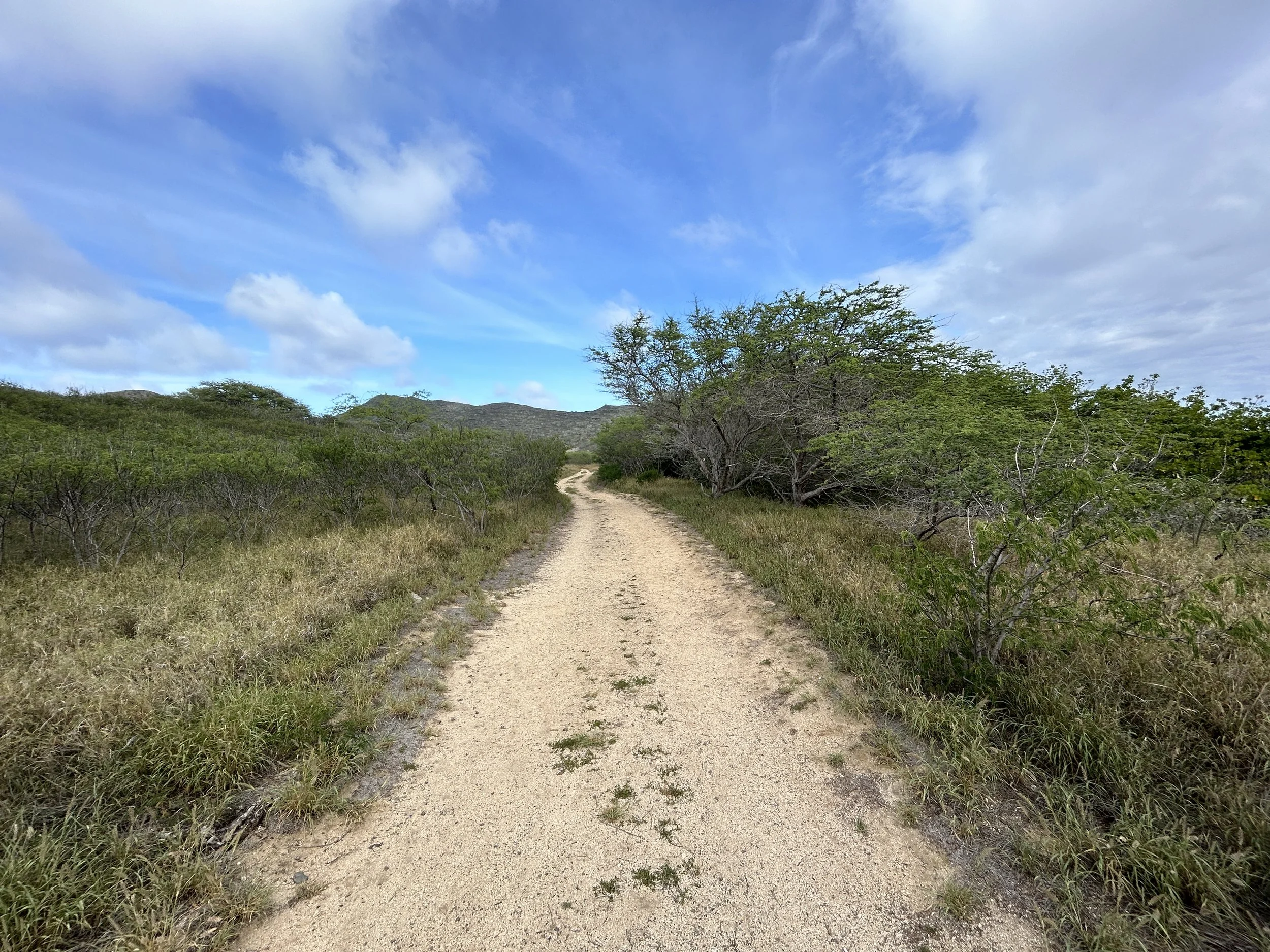 Hiking the Kaiwi Shoreline Trail on Oʻahu — noahawaii