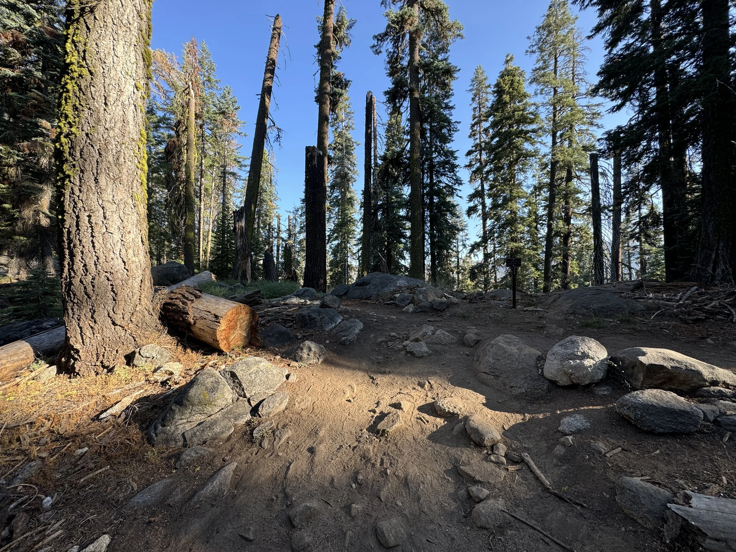 Hiking the Long Meadow Loop Trail in Sequoia National Park — noahawaii