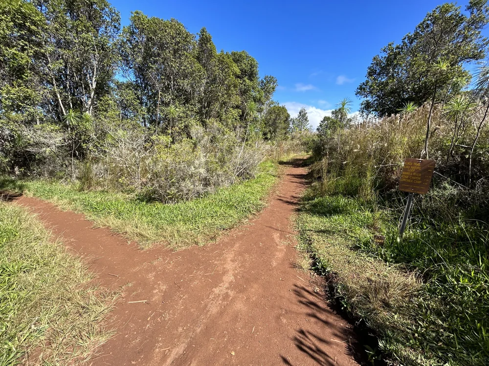 Hiking the Iliau Nature Loop Trail in the Waimea Canyon on Kauaʻi ...