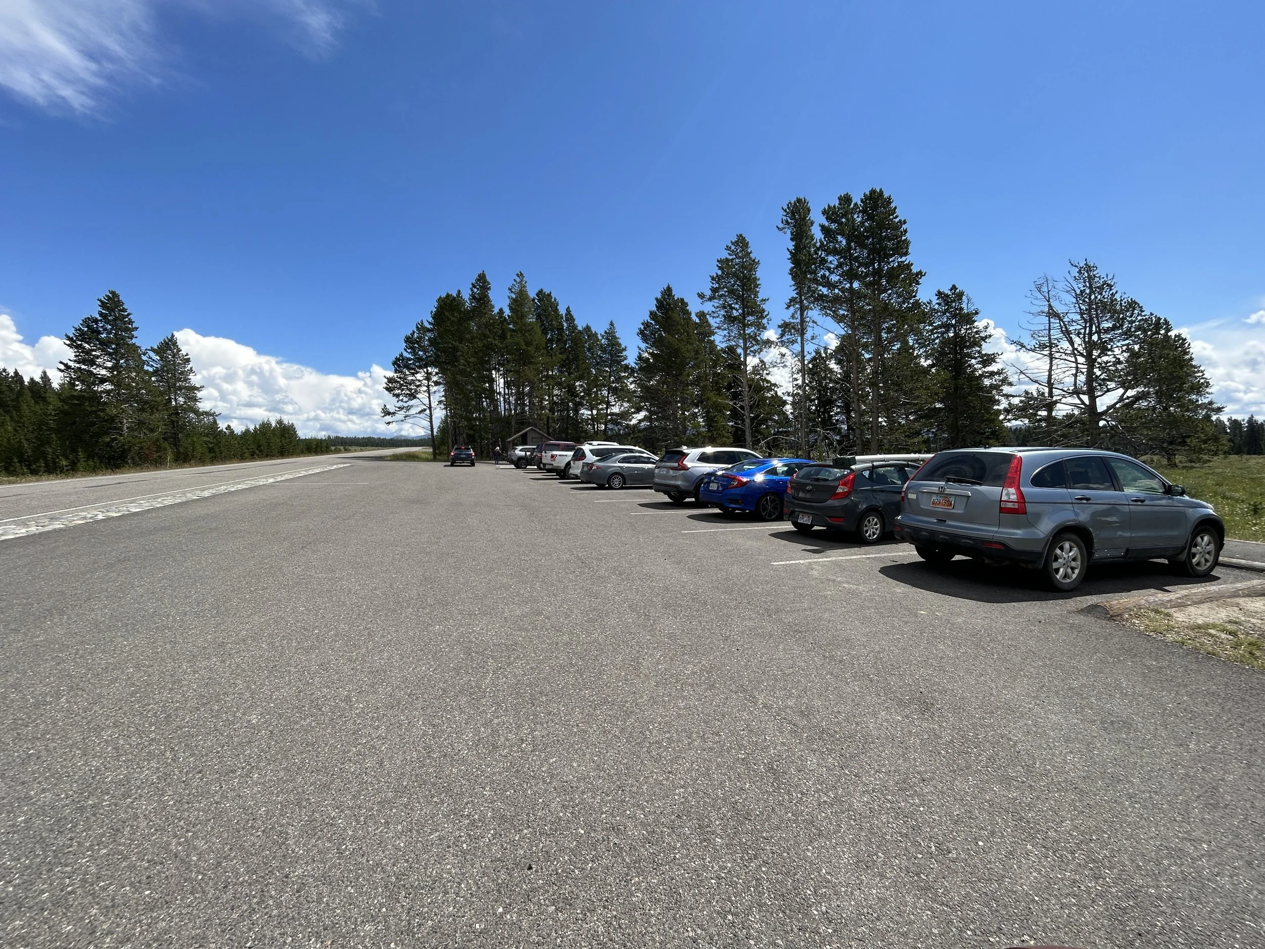 Hiking the Storm Point Trail in Yellowstone National Park — noahawaii