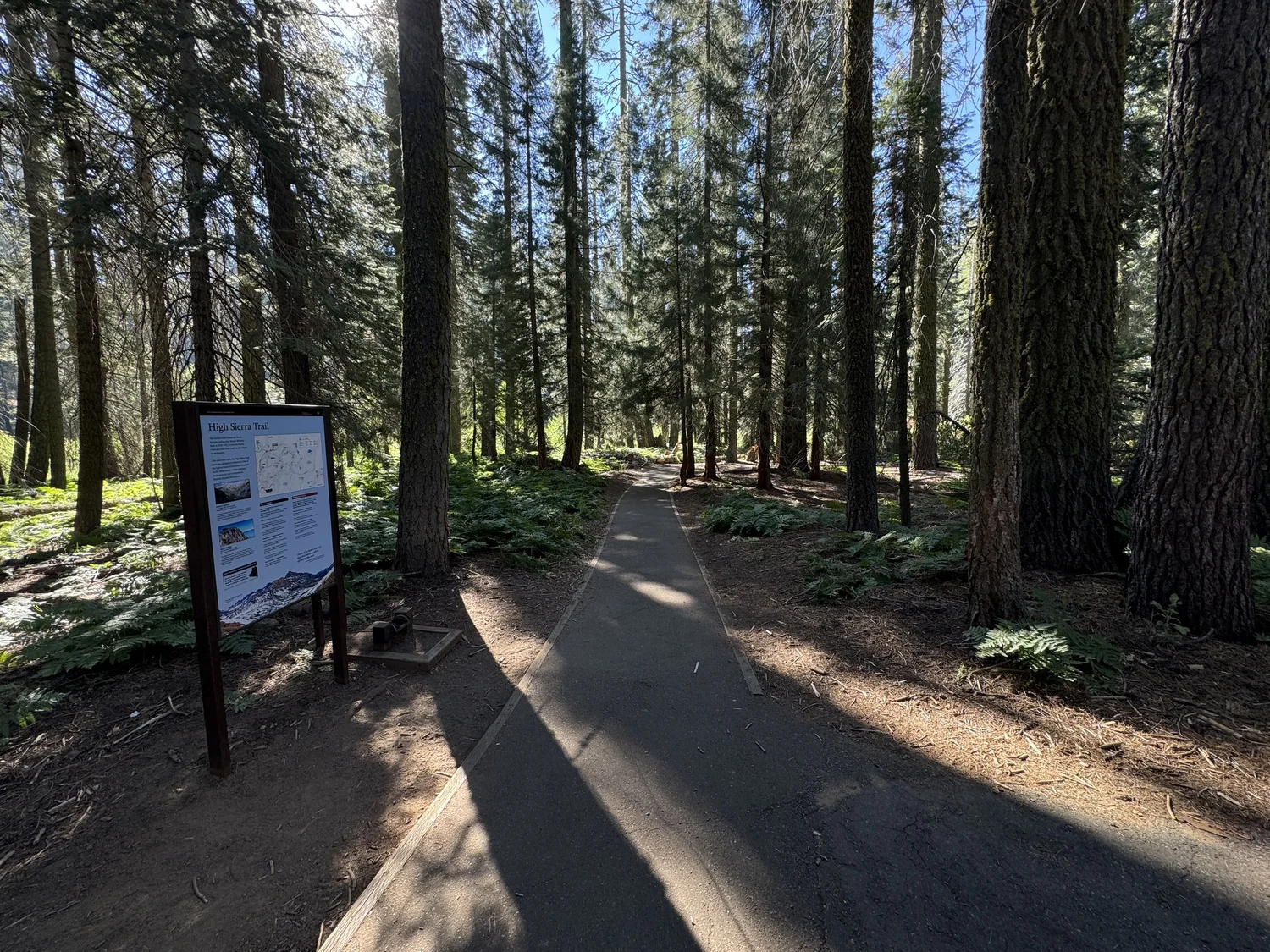 Hiking the Trail of the Sequoias in Sequoia National Park — noahawaii