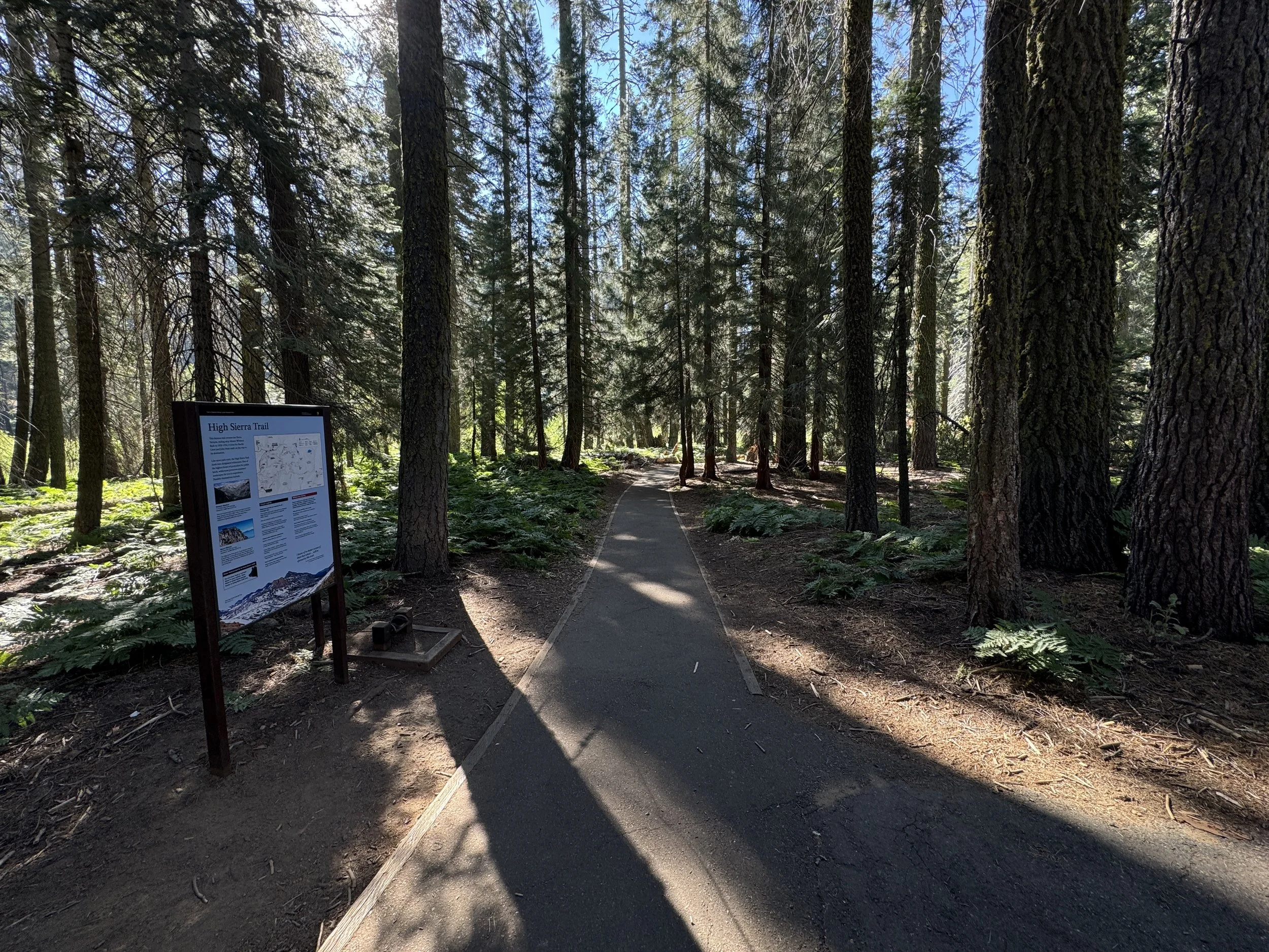 Hiking the Trail of the Sequoias in Sequoia National Park — noahawaii