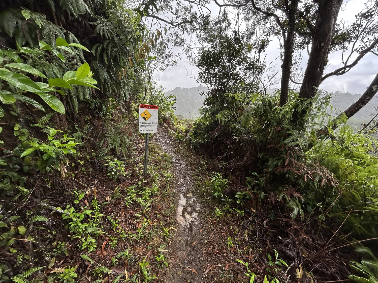 Hiking the Poamoho Trail on Oʻahu, Hawaiʻi — noahawaii
