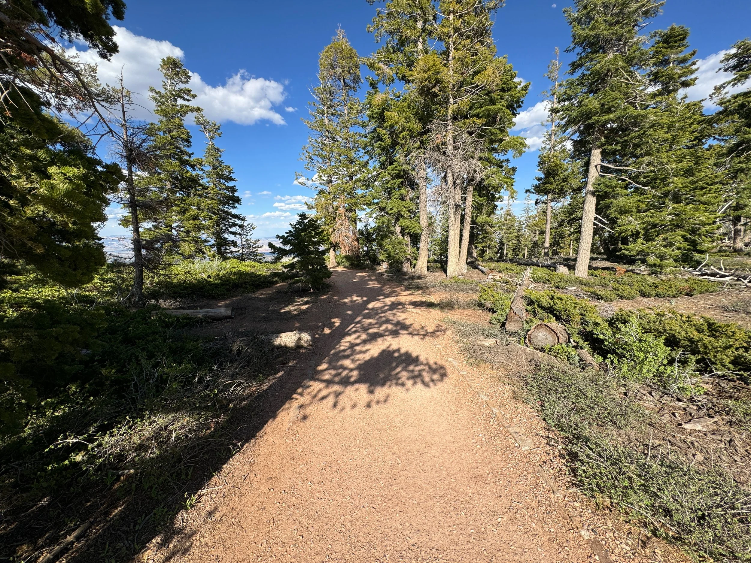 Hiking the Bristlecone Loop Trail in Bryce Canyon National Park — noahawaii