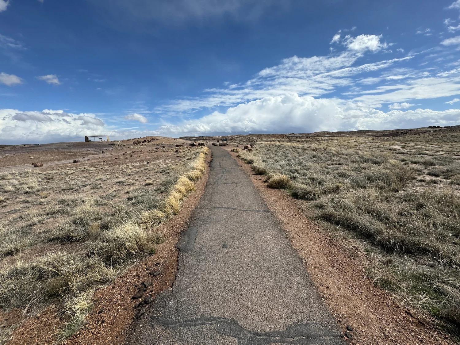 Hiking the Crystal Forest Trail in Petrified Forest National Park ...
