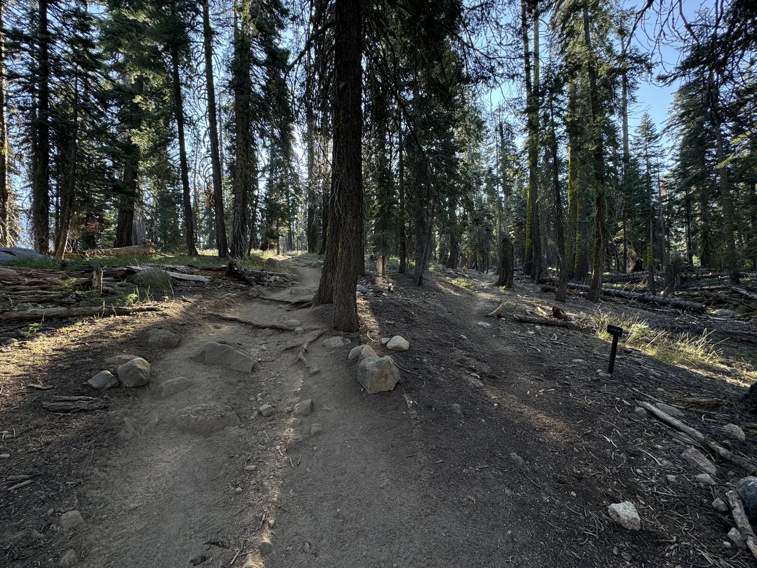 Hiking the Long Meadow Loop Trail in Sequoia National Park — noahawaii