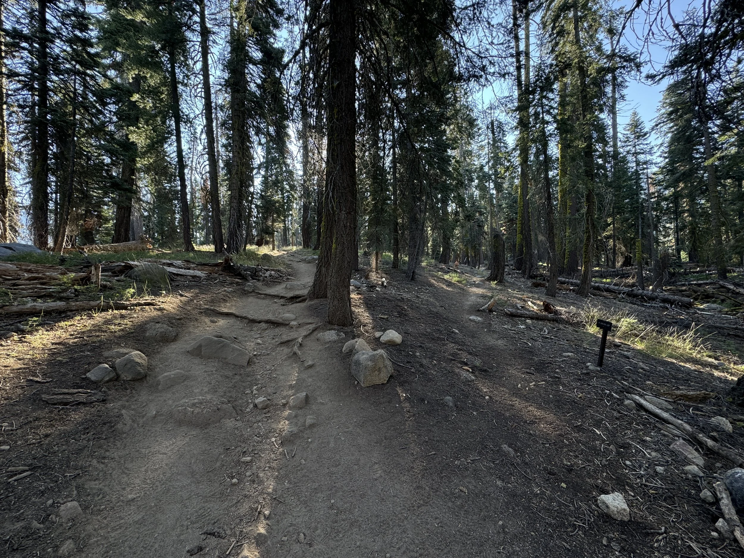 Hiking the Long Meadow Loop Trail in Sequoia National Park — noahawaii