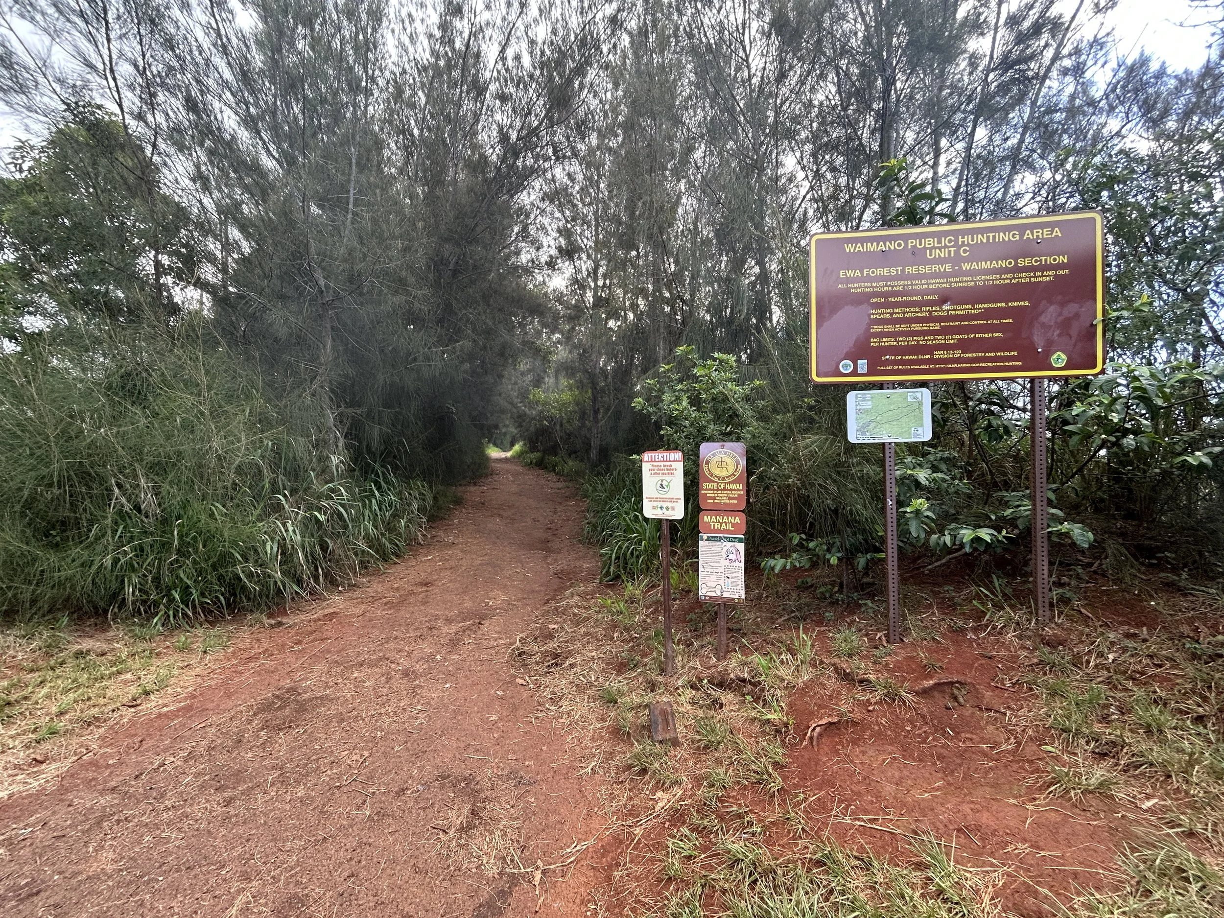Hiking the Mānana Ridge Trail on Oʻahu — noahawaii