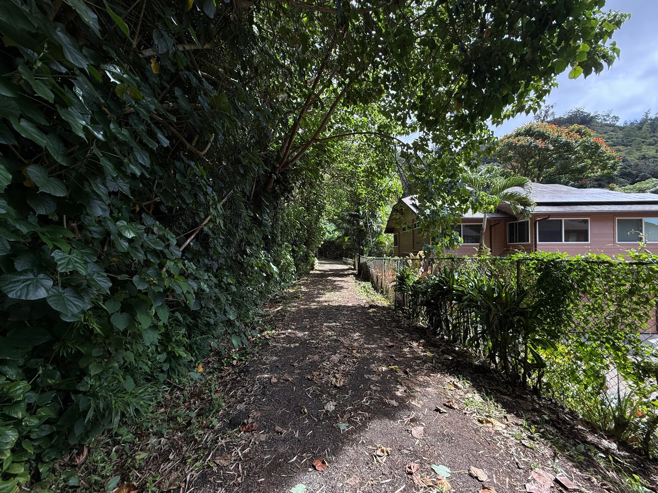 Hiking the Mānoa Middle Ridge Trail on Oʻahu, Hawaiʻi — noahawaii
