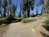 Hiking the Panoramic Point Trail in Kings Canyon National Park — noahawaii