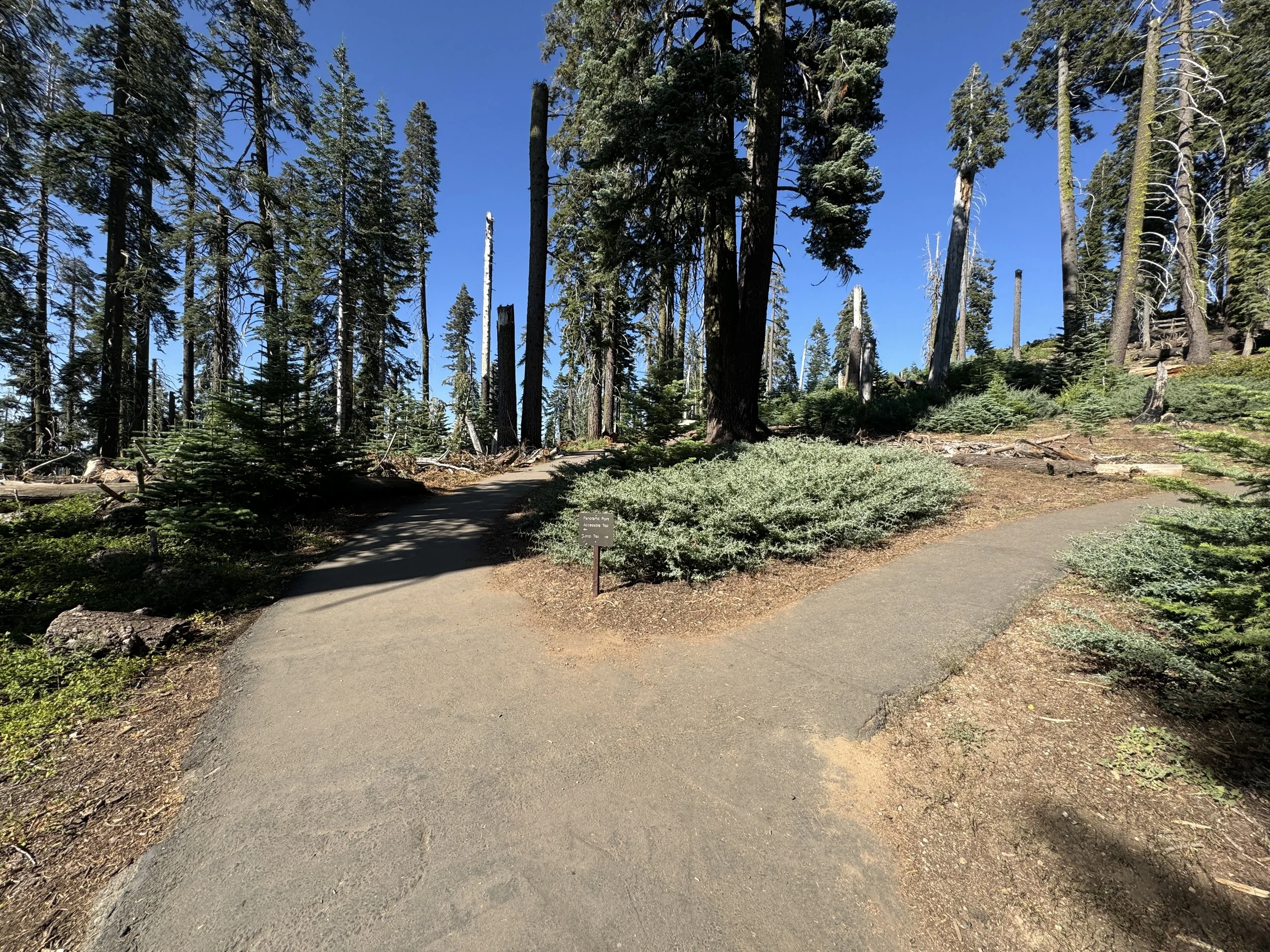Hiking the Park Ridge Trail in Kings Canyon National Park — noahawaii