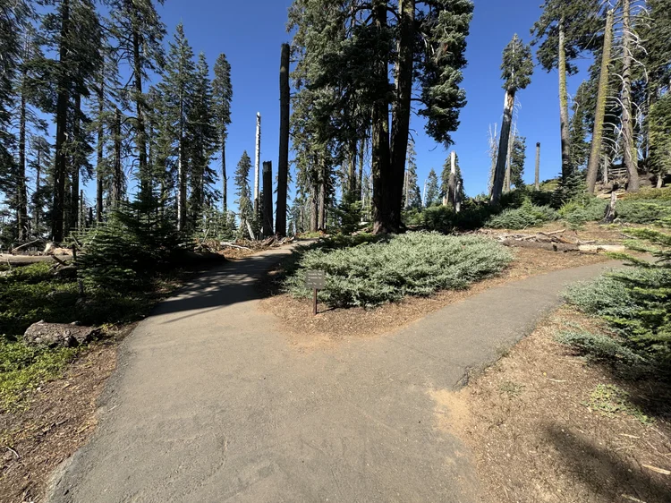 Hiking the Panoramic Point Trail in Kings Canyon National Park — noahawaii