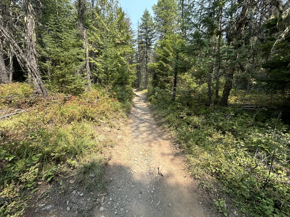 Hiking the Johns Lake Loop Trail in Glacier National Park — noahawaii