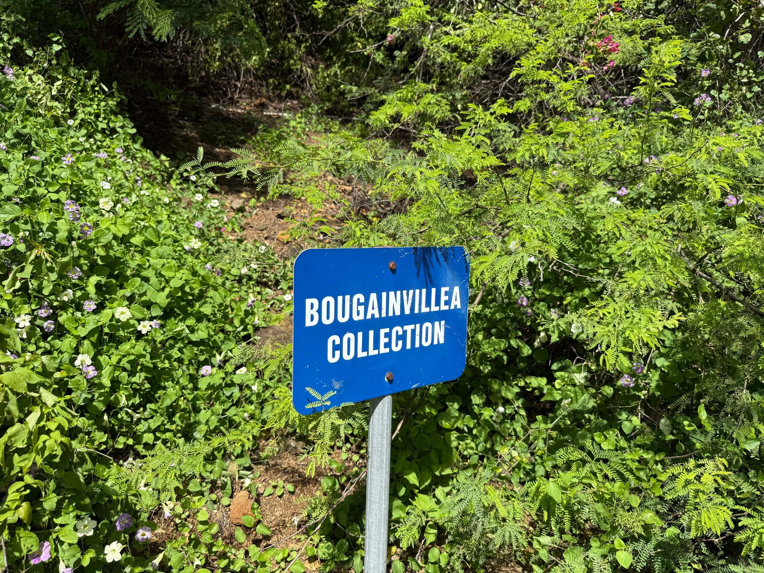 Hiking the Koko Crater Botanical Garden Loop Trail on Oʻahu, Hawaiʻi ...