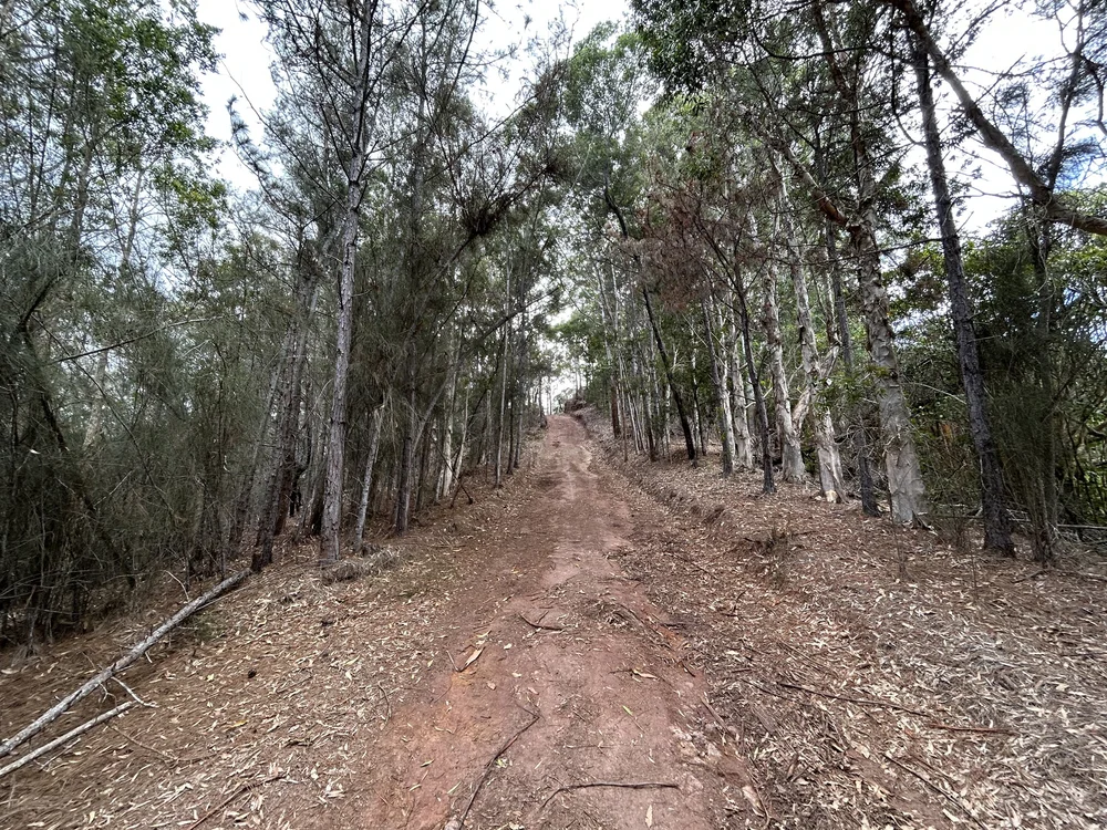 Hiking the Keālia Trail on Oʻahu's North Shore — noahawaii