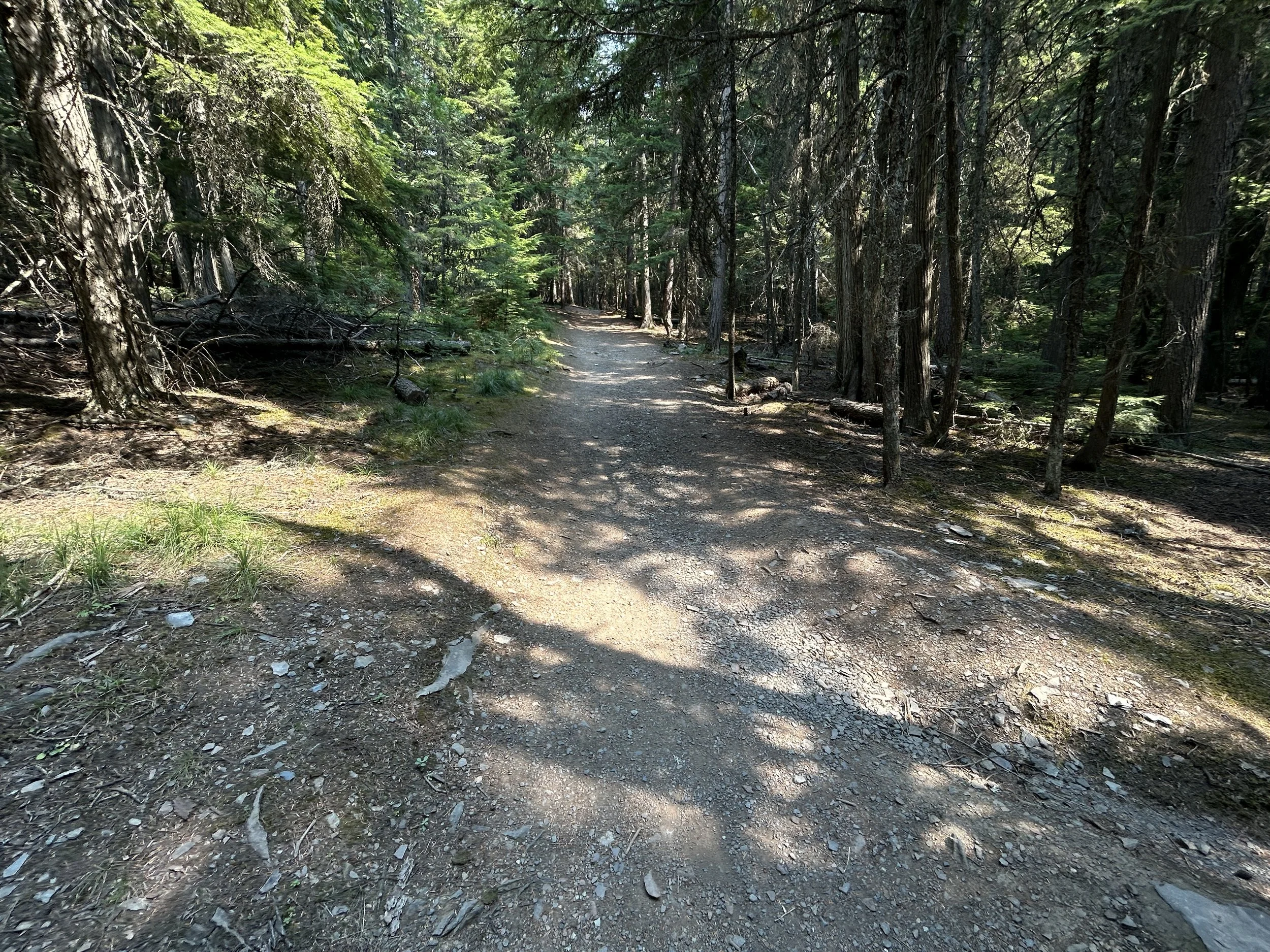 Hiking the Johns Lake Loop Trail in Glacier National Park — noahawaii