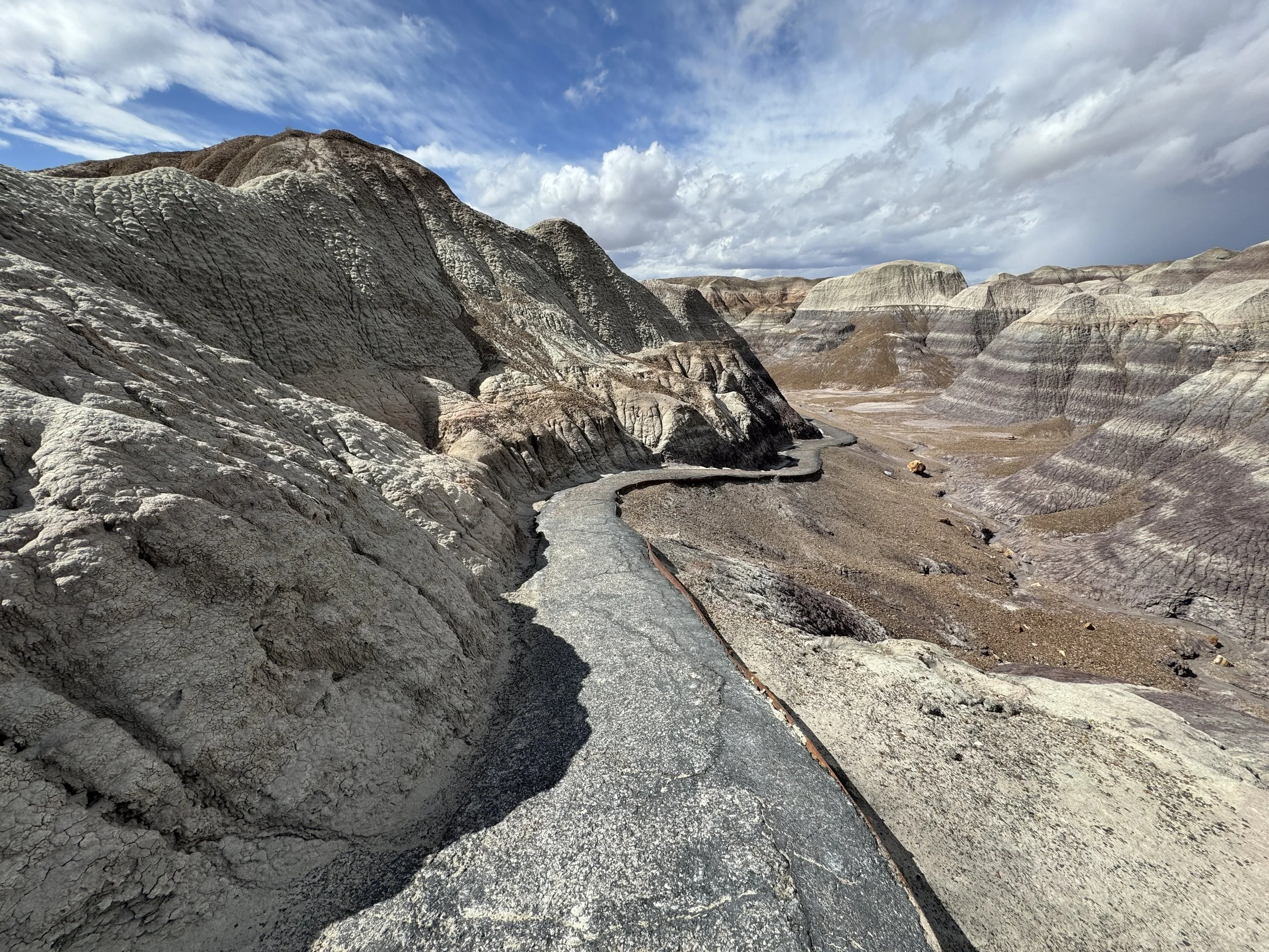 Hiking the Blue Mesa Trail in Petrified Forest National Park — noahawaii