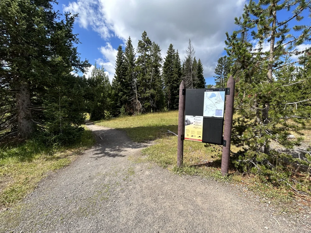 Hiking the Yellowstone Lake Overlook Trail in Yellowstone National Park ...