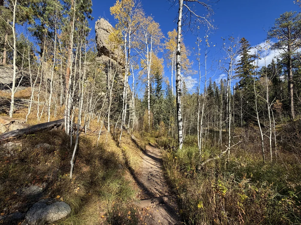 Hiking the Little Devils Tower Trail in Custer State Park in the Black ...