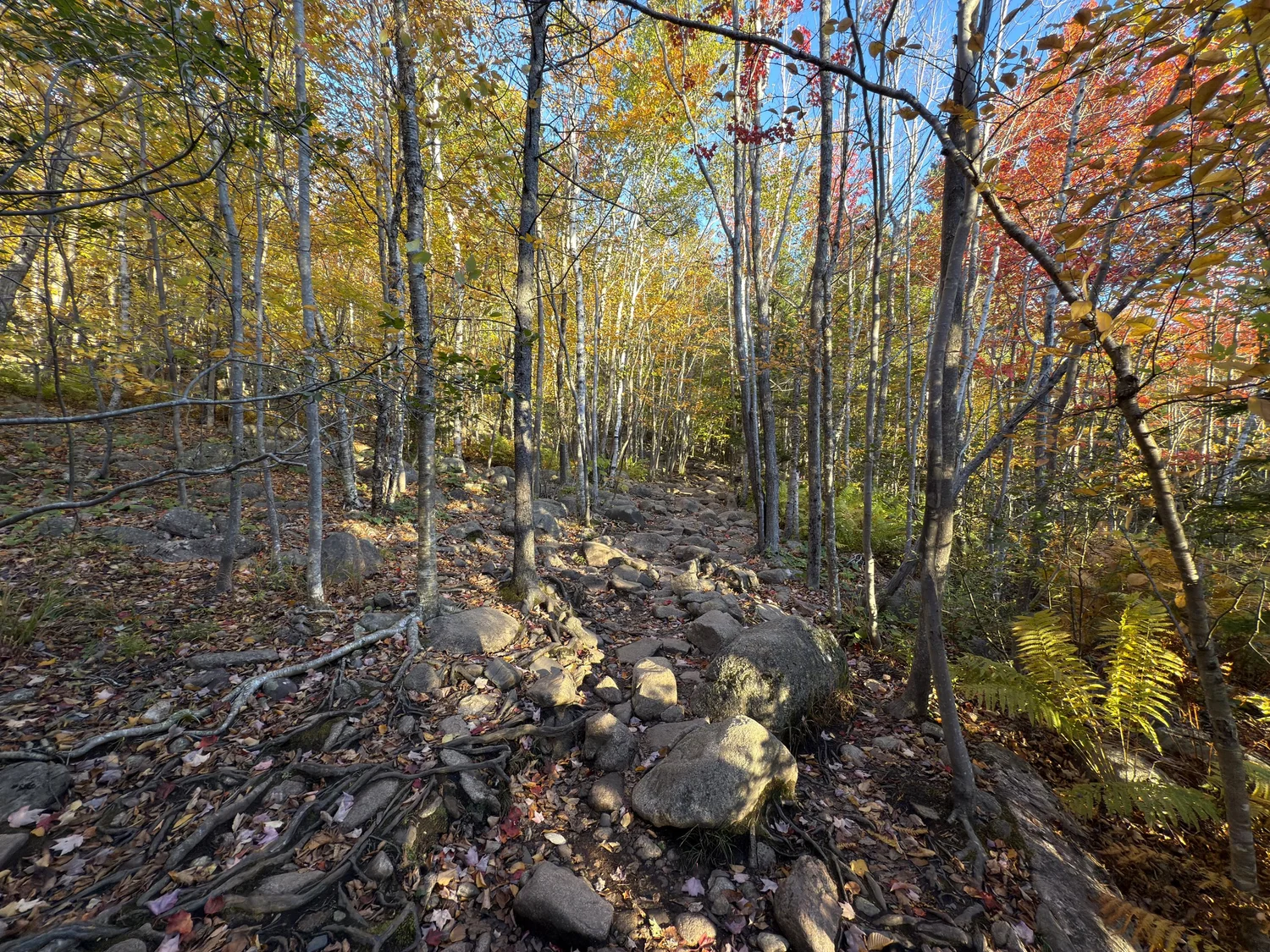 Hiking the Beehive Trail in Acadia National Park — noahawaii