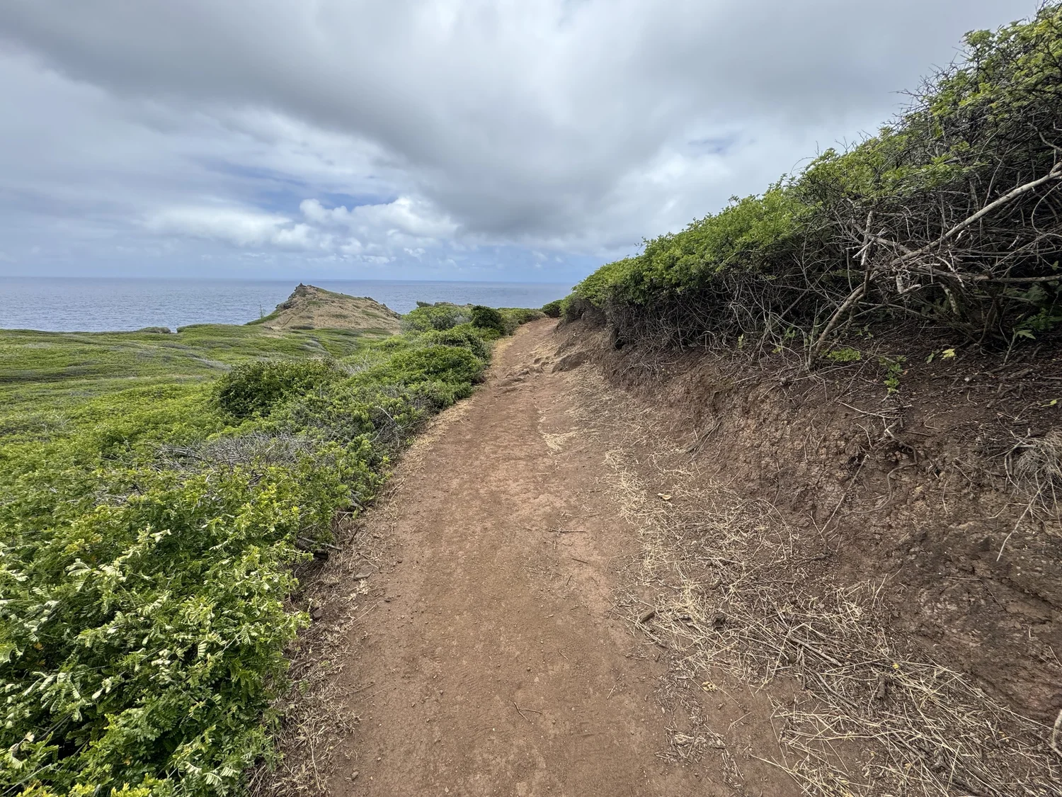 Hiking the ʻŌhai Loop Trail on Maui, Hawaiʻi — noahawaii