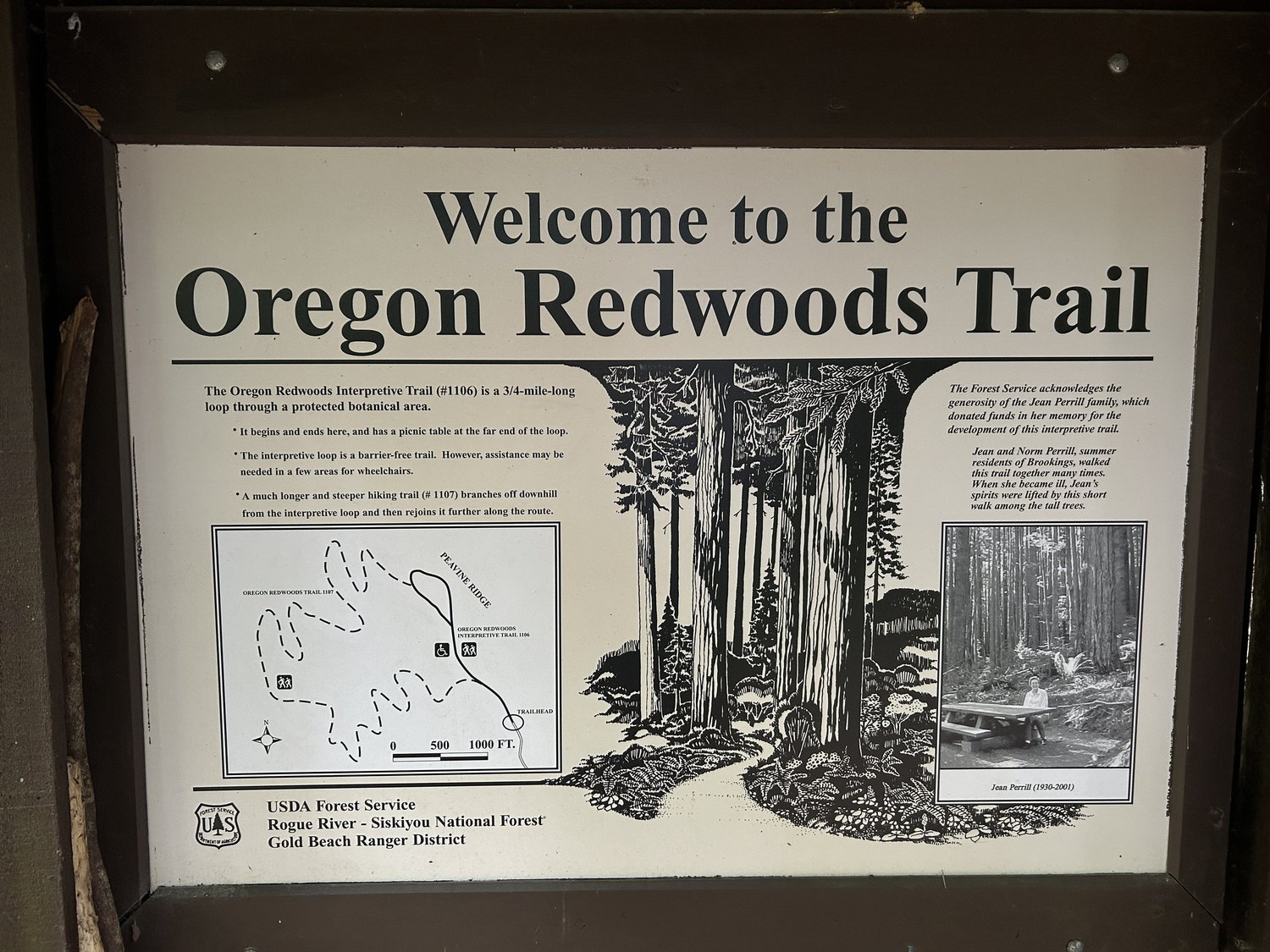 Hiking the Oregon Redwoods Trail on the Oregon Coast — noahawaii