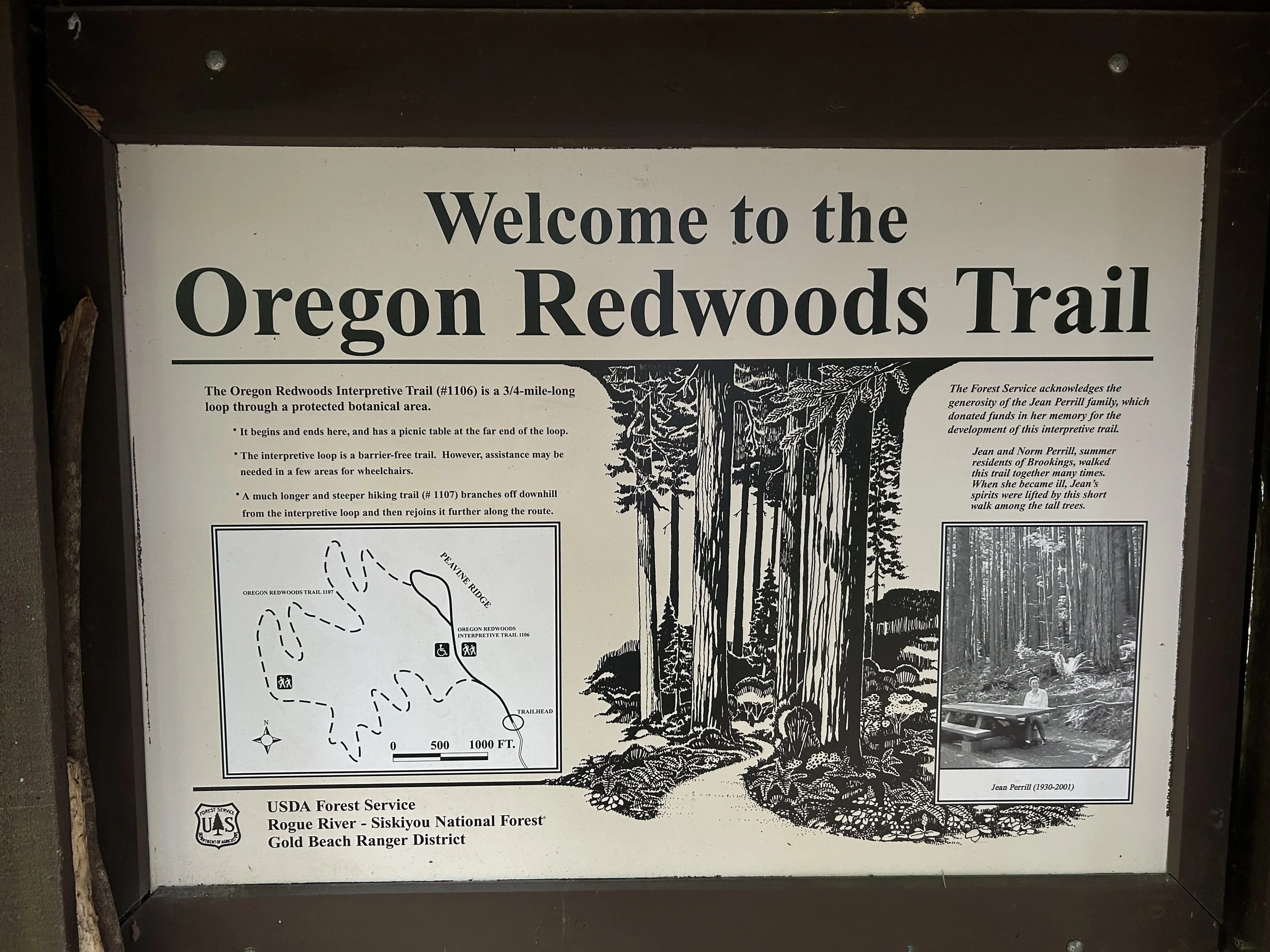 Hiking the Oregon Redwoods Trail on the Oregon Coast — noahawaii