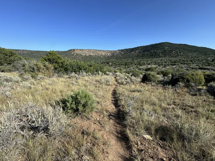 Hiking the Pinyon Draw Trail (S.O.B. Draw) in Black Canyon of the ...