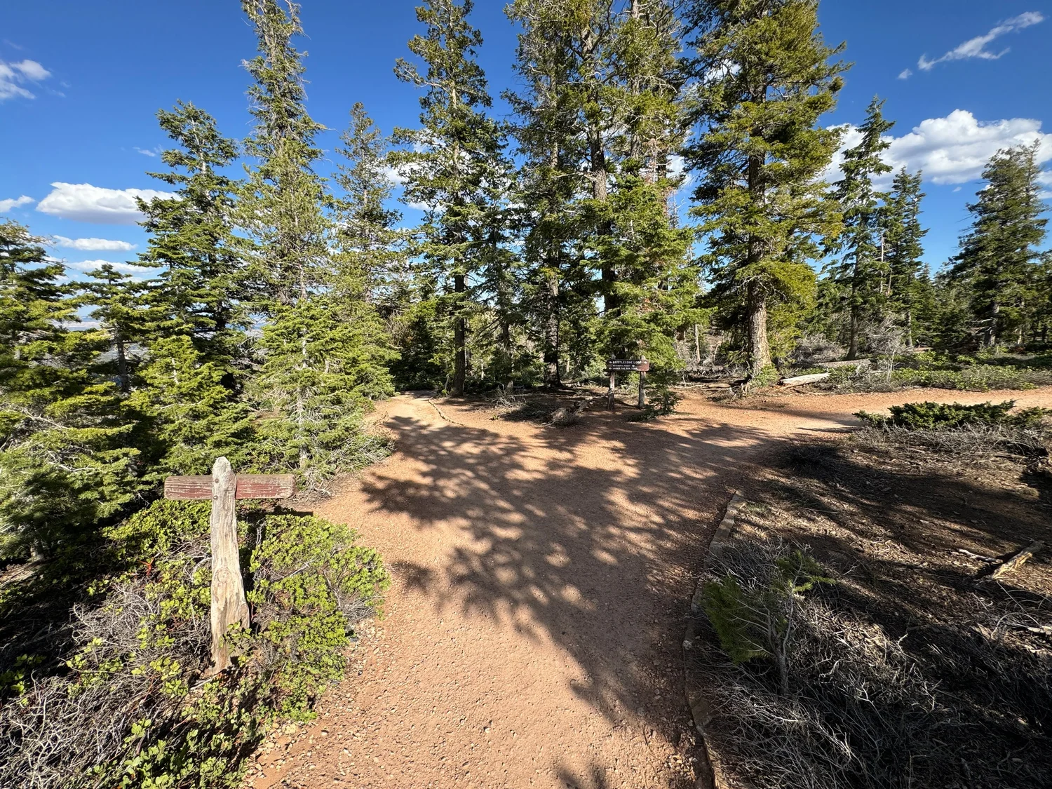 Hiking the Bristlecone Loop Trail in Bryce Canyon National Park — noahawaii