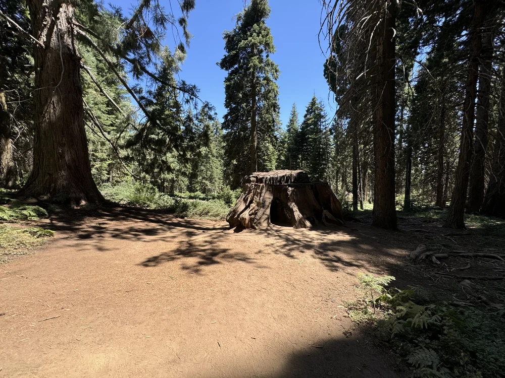 Hiking the Big Stump Loop Trail in Kings Canyon National Park — noahawaii