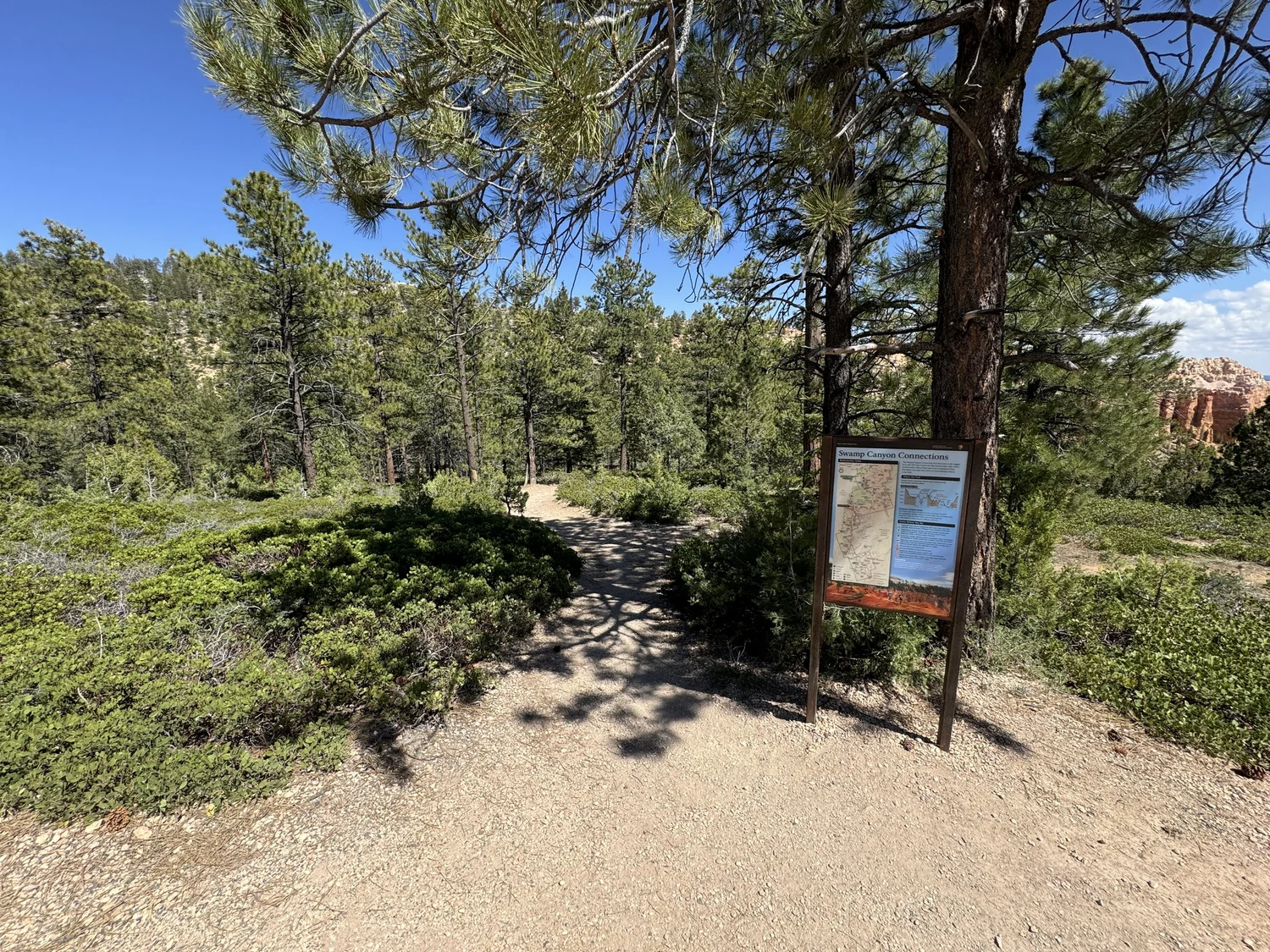 Hiking the Swamp Canyon Loop Trail in Bryce Canyon National Park ...