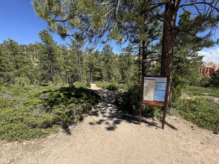 Hiking the Swamp Canyon Loop Trail in Bryce Canyon National Park ...