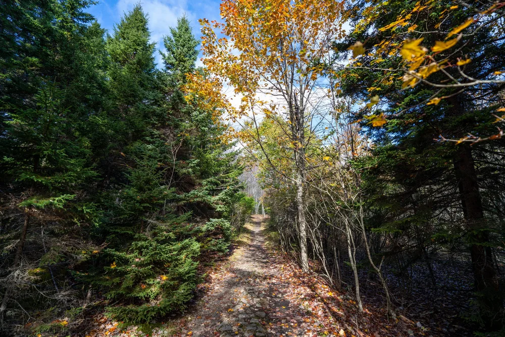 Hiking the Anvil-Schoodic Head-Alder Loop Trail in Acadia National Park ...