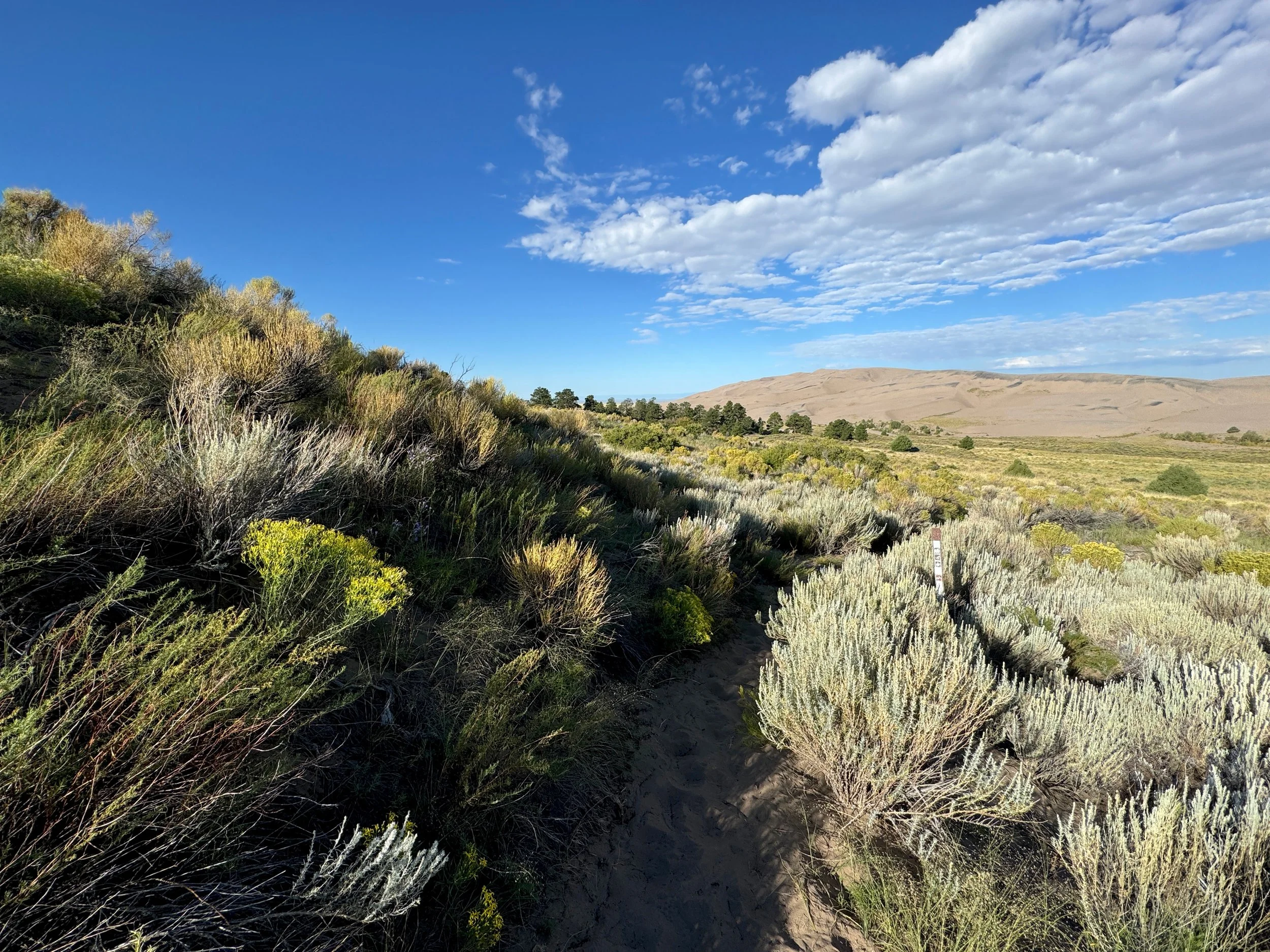 Hiking the Sand Pit Trail in Great Sand Dunes National Park — noahawaii