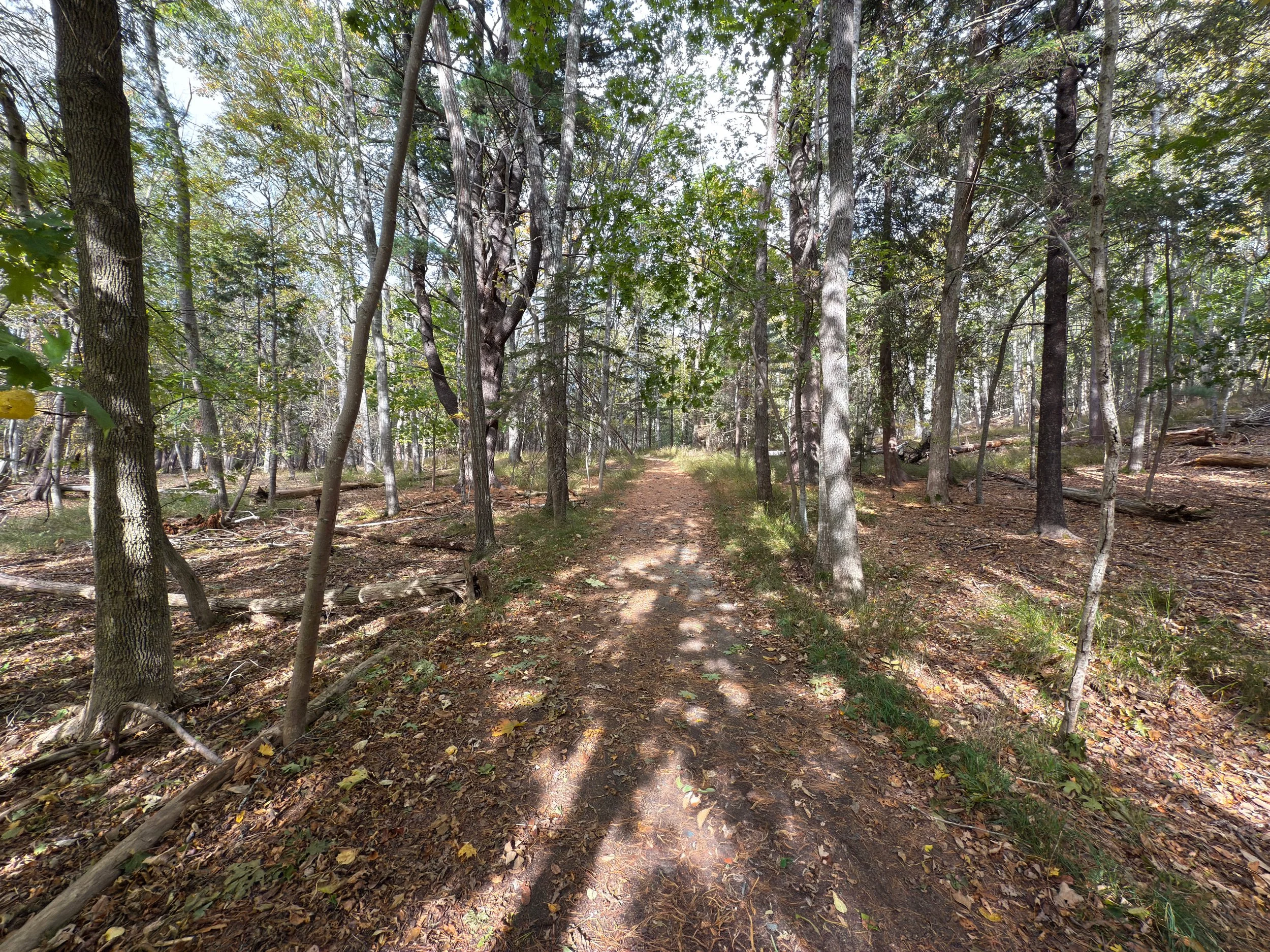 Hiking the Compass Harbor Trail in Acadia National Park — noahawaii
