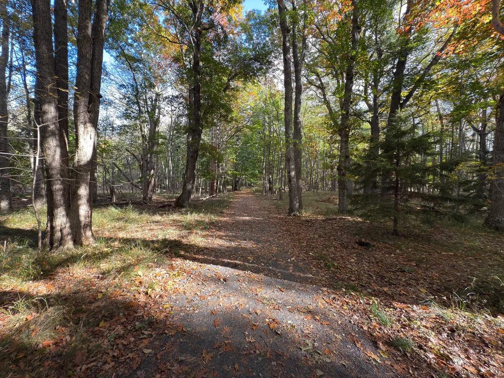 Hiking the Compass Harbor Trail in Acadia National Park — noahawaii