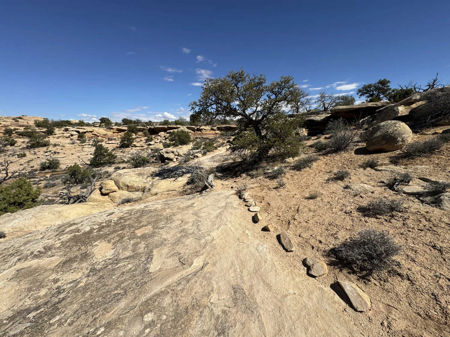 Hiking the Slickrock Trail in Canyonlands National Park — noahawaii