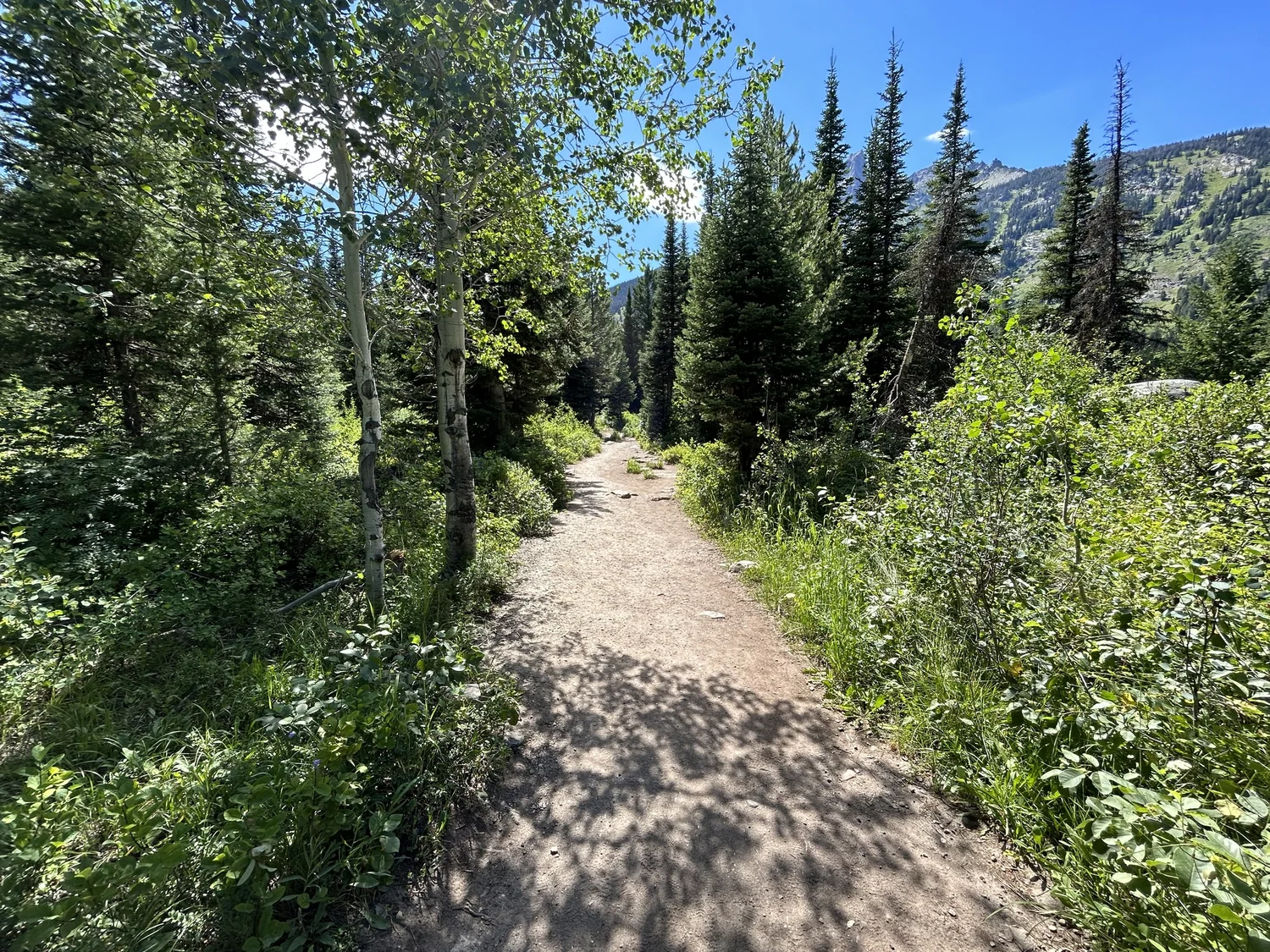 Hiking the Inspiration Point Trail via Jenny Lake Visitor Center in ...